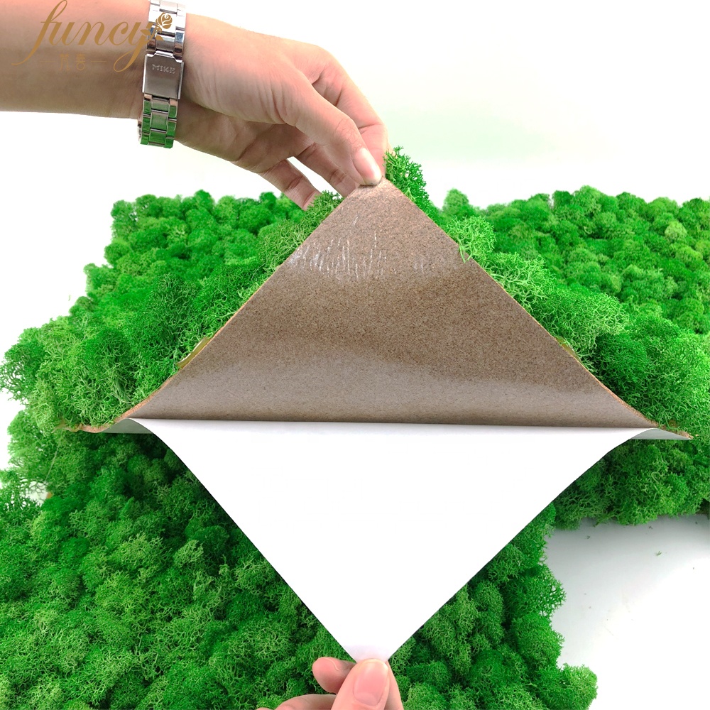 How to Choose the Best Murals Wooden Moss for Your Space