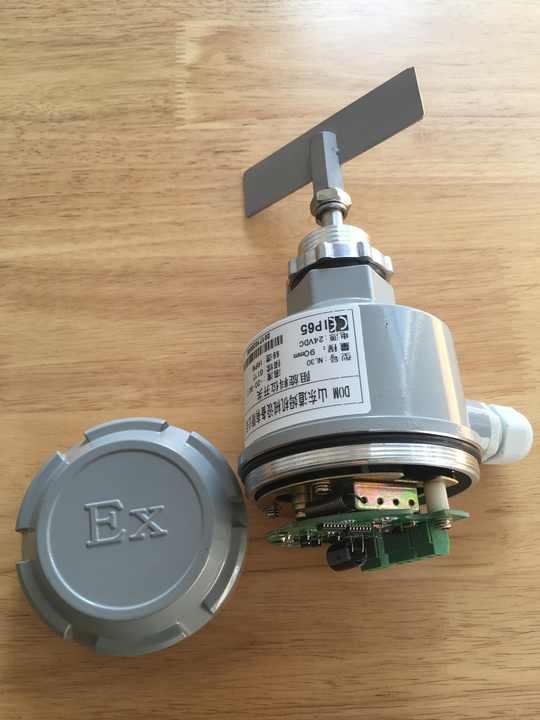 Rotary Paddle Type Level Switch - Accurate Silo Level Indicators