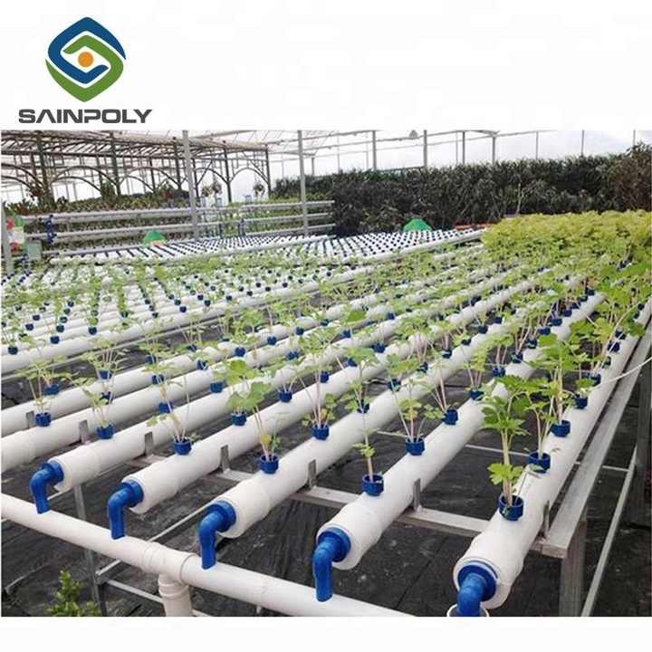 Sainpoly Hydroponic Systems - Efficient Greenhouse Solutions