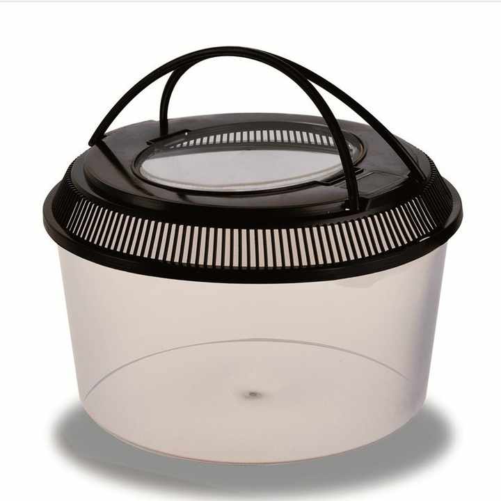 Plastic Turtle Tub - Eco-Friendly Aquarium for Raising Turtles