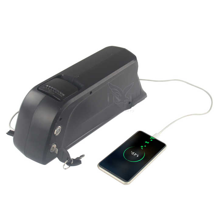 Dolphin Battery - 24V to 48V Rechargeable Li-Ion Packs