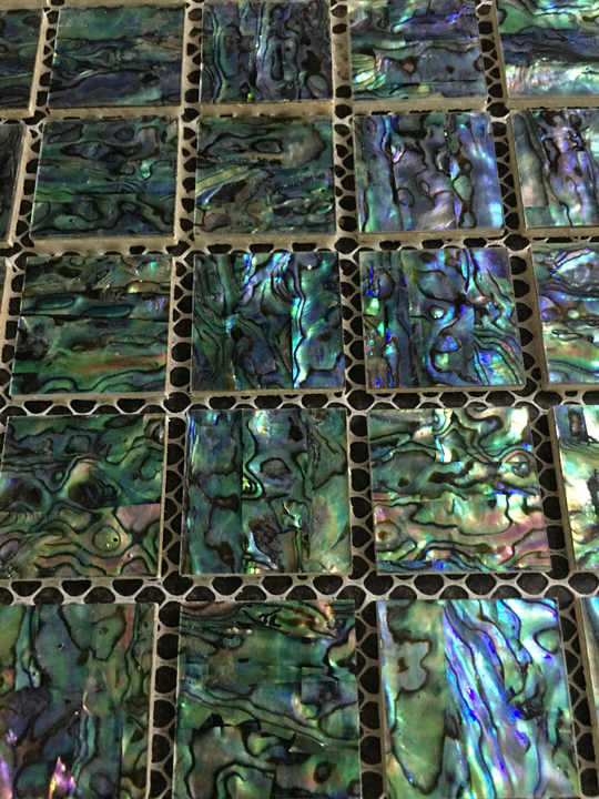 New Zealand Paua Shell Mosaic Tile Price - Seashell Backsplash
