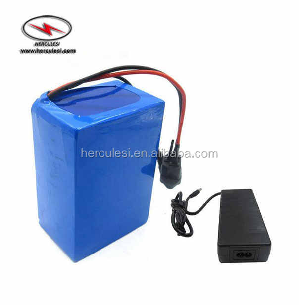 Customize Rechargeable 12V 20ah Lithium Ion Battery Pack