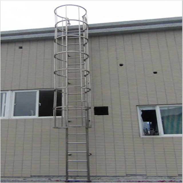 Stainless Steel Pipe Cat Ladder - Durable & Corrosion Resistant