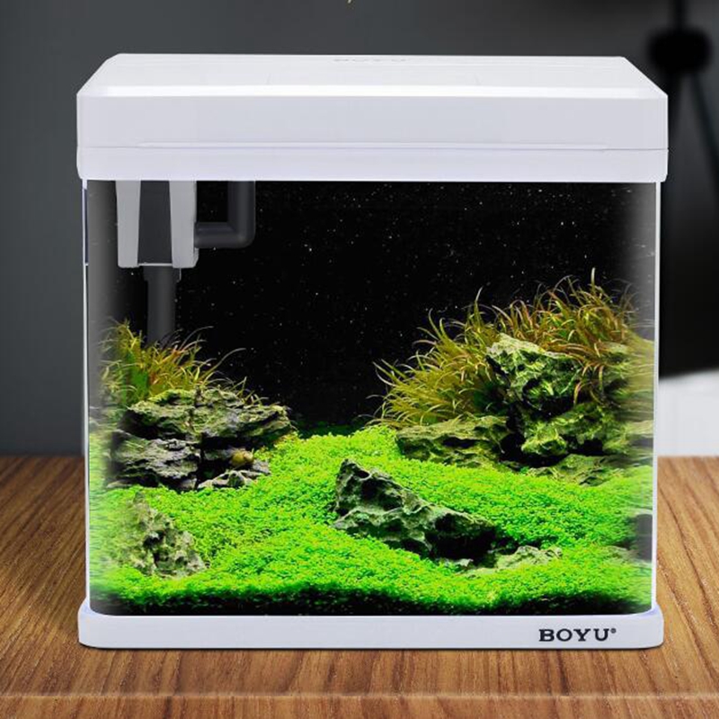 Mini Portable Fish Tanks - Travel in Comfort & Style