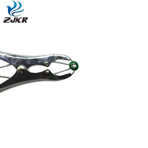 Digital & Advanced Collection of forceps veterinary castration tools ...