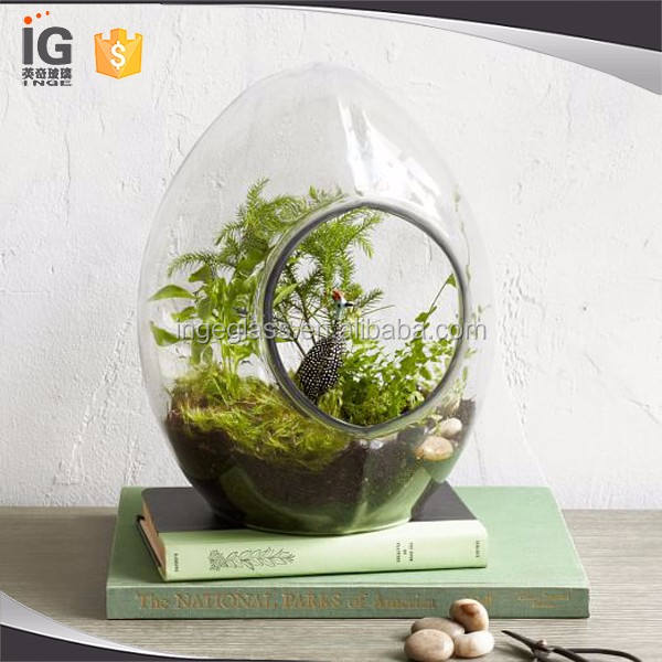 Egg Oval Shaped Decorative Glass Terrarium - Perfect for Home