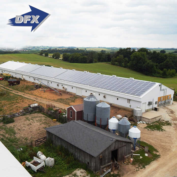 Malaysia Poultry Farm Design Layout for Chicken House