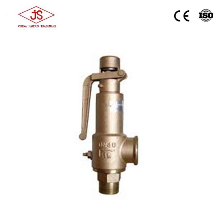 BSP Thread Spring Loaded High Lift Brass Safety Valve