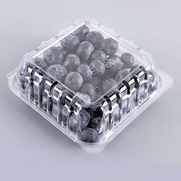 Clear Plastic Fruit Boxes with Holes - Ideal for Berries