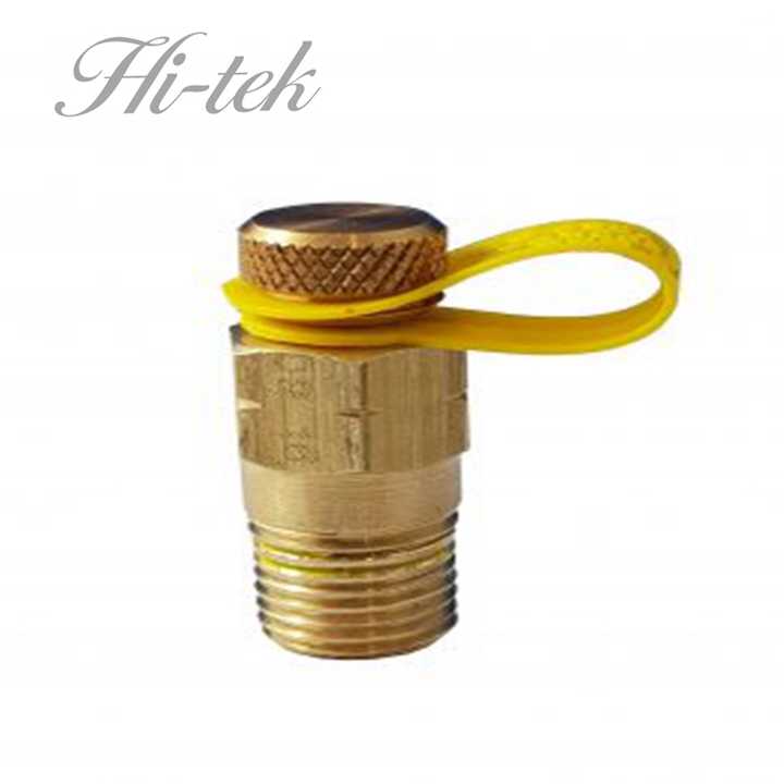 Pete's Plug - Precision Brass Test Point for up to 1000 PSI