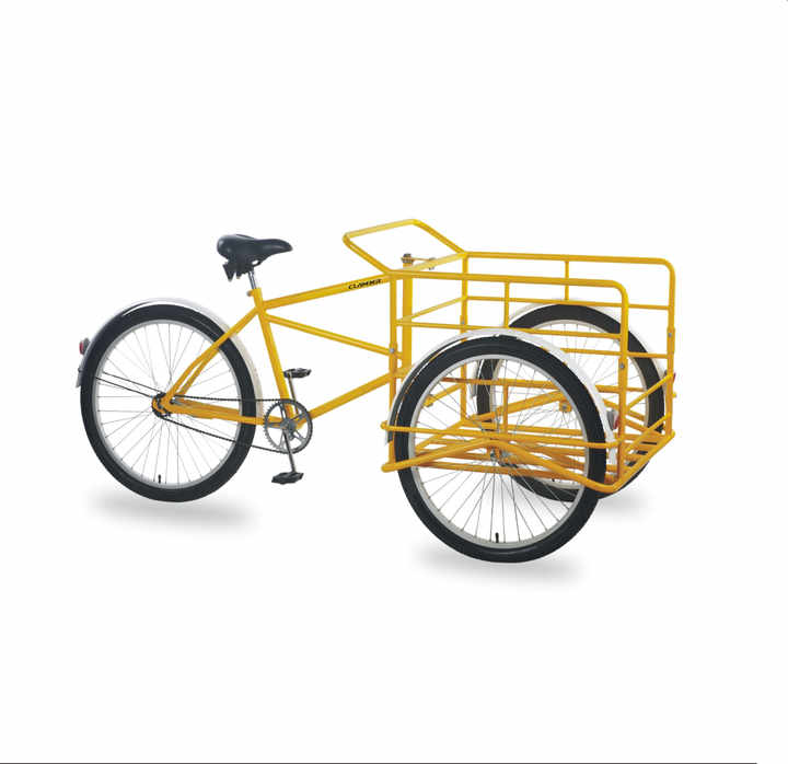 Shop Our Hot Sale Front Loading Cargo Tricycle - 85kg Capacity