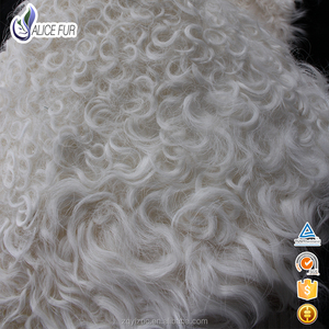 Delicious karakul lamb in Fresh or Frozen Choices - Alibaba.com
