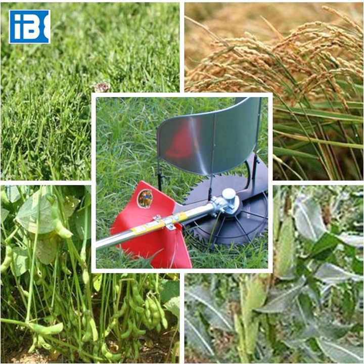 Small Portable Petrol Cow Feed Cutting Machine for Dairy Farms ...