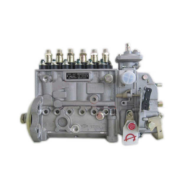 Dongfeng Truck Spare Parts - Fuel Injection Pump 3973900
