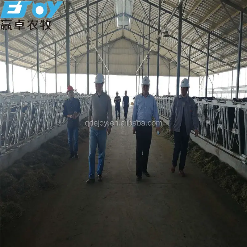 Buy Wholesale cow farm equipment For Livestock Production - Alibaba.com