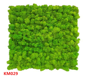 Compre grama tipos fotos - Alibaba.com.