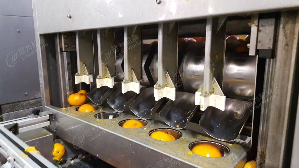 Leadworld Orange Peeler Machine - High Efficiency & Durability