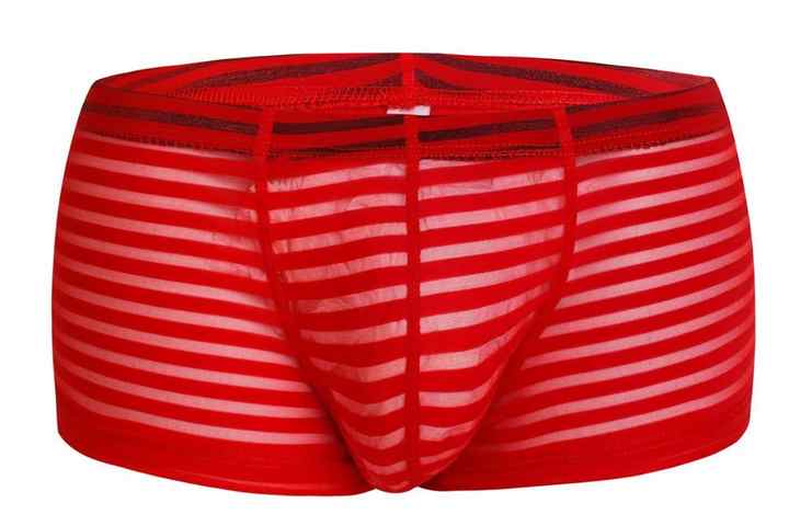 Men's Sexy Transparent Boxer Briefs Low Waist Underwear Mesh Stripe ...