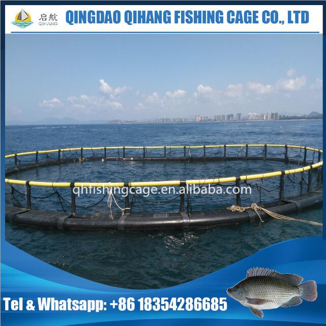 Innovative fish farming hdpe cages Solutions for Efficient Aquatic Farming