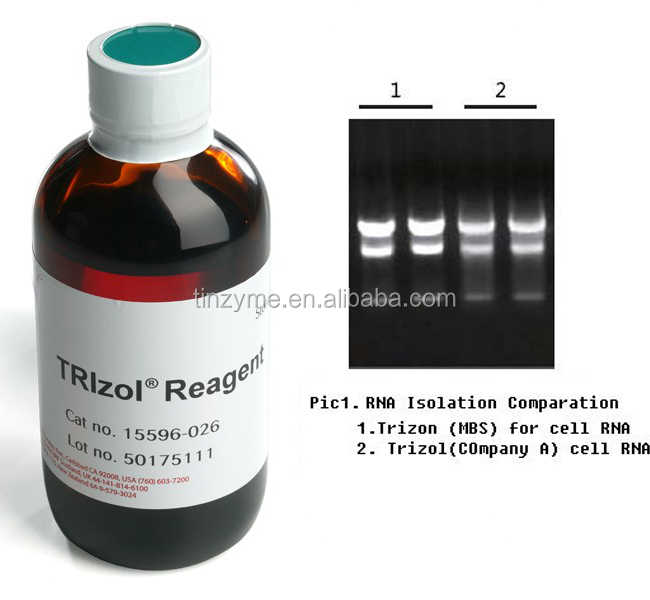 Trizol RNA Isolation Reagent - Efficient & Reliable
