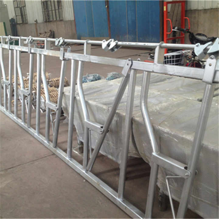 6 Meter Long Cow Head Lock - Easy to Operate & Durable