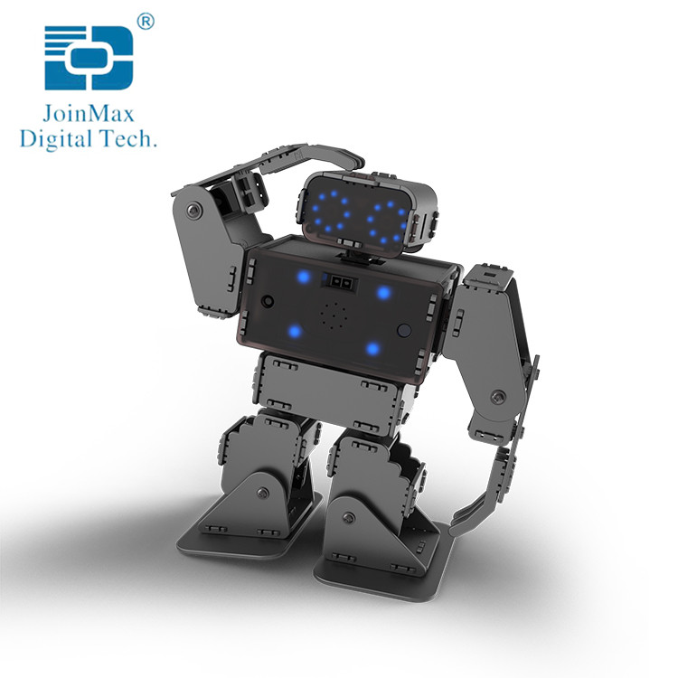 Exploring the World of Robots for Adults: Fun & Learning