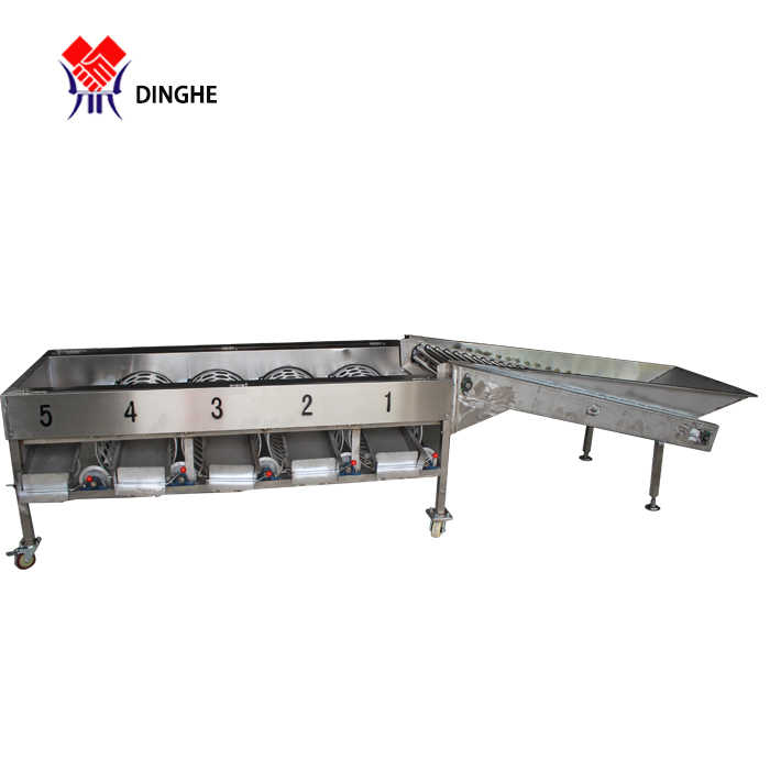 Roller Fruit Grading Machine / mango Sorting Machine / Automatic Roller ...