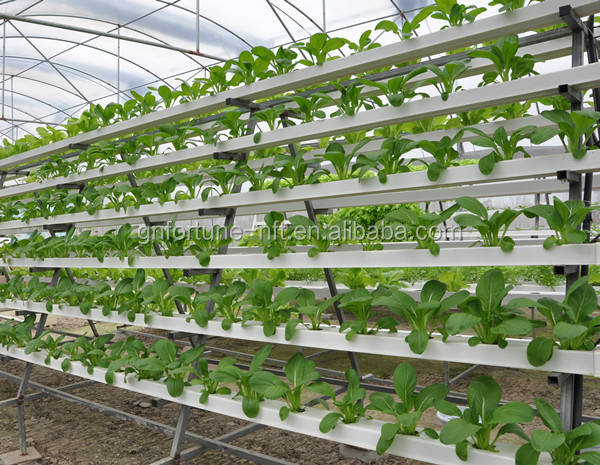 How to Choose Seedling Cubes: A Complete Buyer's Guide