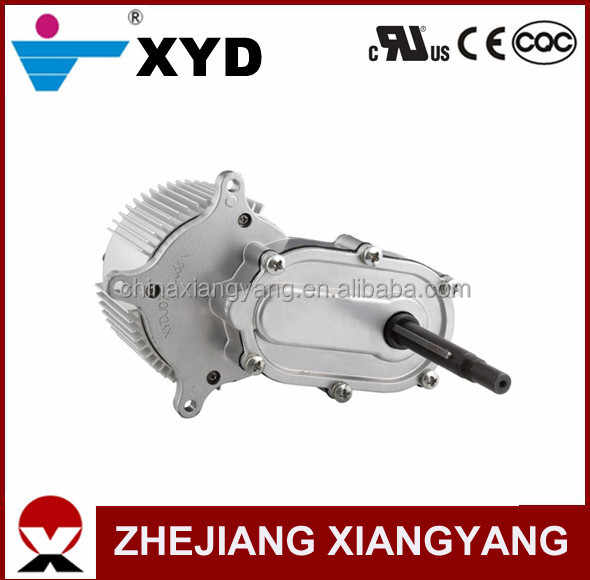XYD-18 DC Electric Gear Motors - 500W for Currie Scooters
