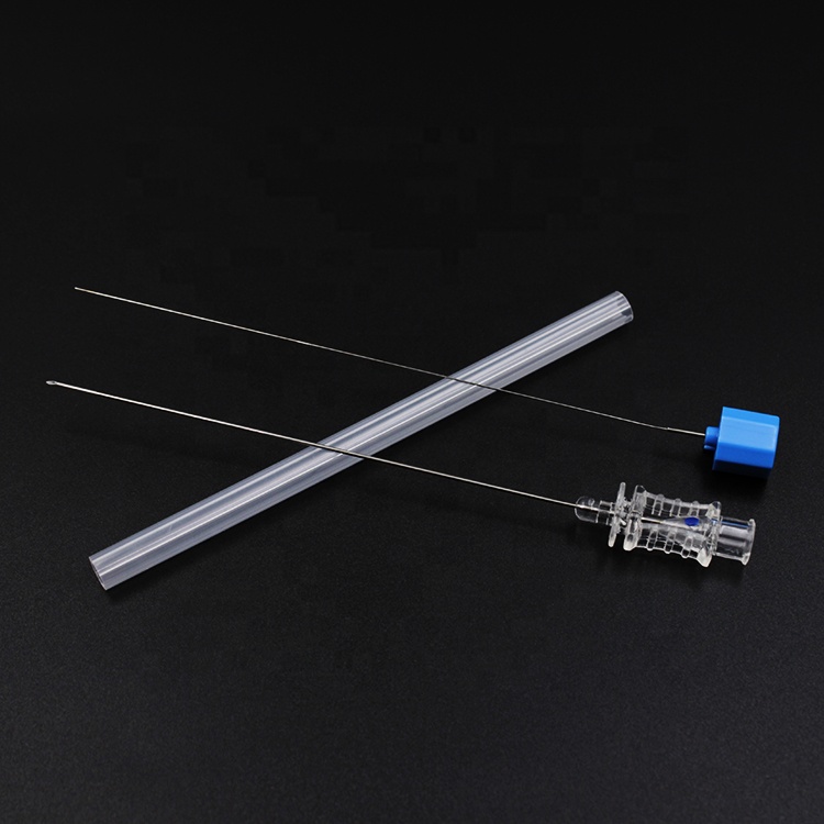 Stainless Steel Lumbar Puncture Needles for Veterinary Use