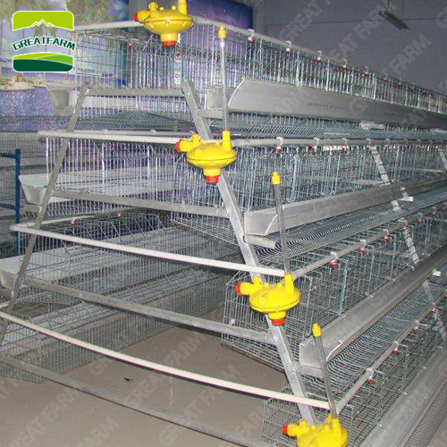 Poultry Battery Cages - Efficient and Durable Solutions