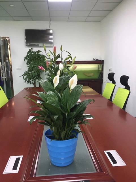 Shop Halloween Costumes from Spirit Halloween | Premium Kids & Adult ...