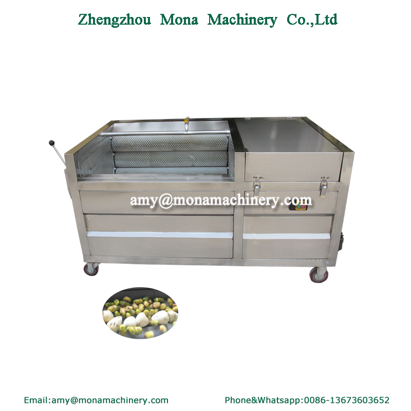 Saudi Arabia Dates Price | Best Processing & Packaging Machines