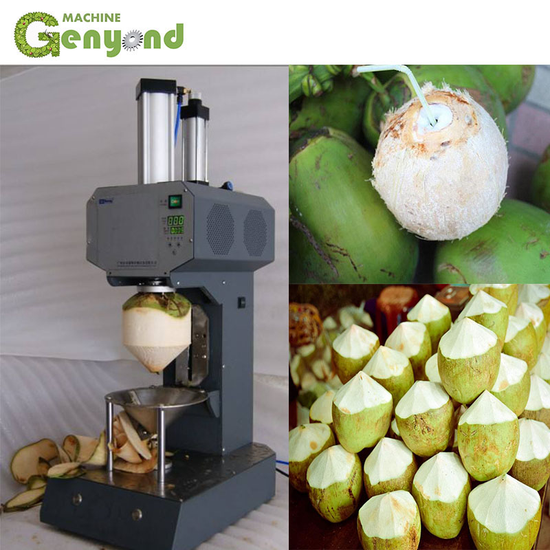 Coconut Peeling Machine - High Performance 2025 Model