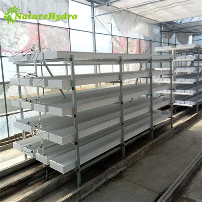 large plastic greenhouse hydroponic fodder trays