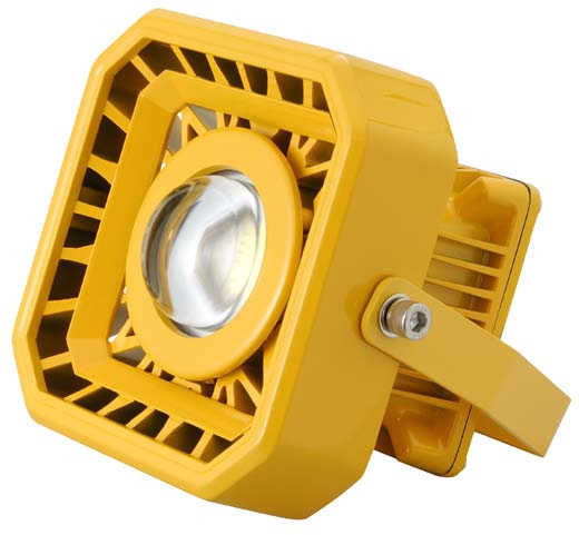 Explosion Proof LED Tank Inspection LIGHT - 50000 Hours