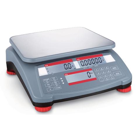 Digital Paint Mixing Weighing Scale - Precision & Custom Support