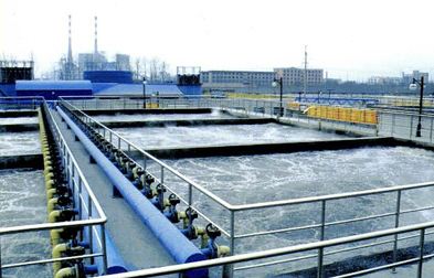 Verified Supplier Alpha Cellulose Powder Cotton Linter Sheet Pulp ...