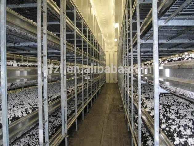 Automatic Growing Machine Mushroom Grow Rooms - KF QGF20FT