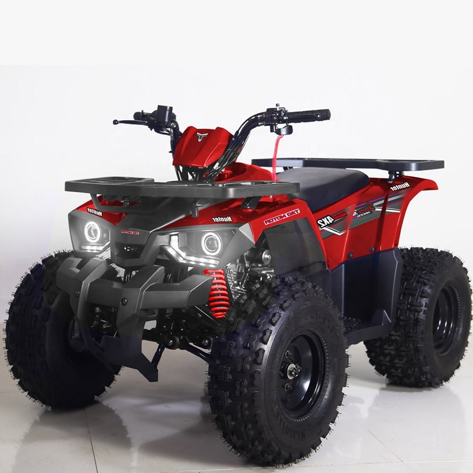 Tao Motor Drum Automatic 125CC Disc Quad Bike for Kids