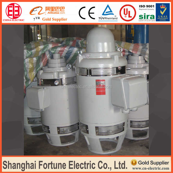 VHS Vertical Hollow Shaft Electric Motors - Reliable Power
