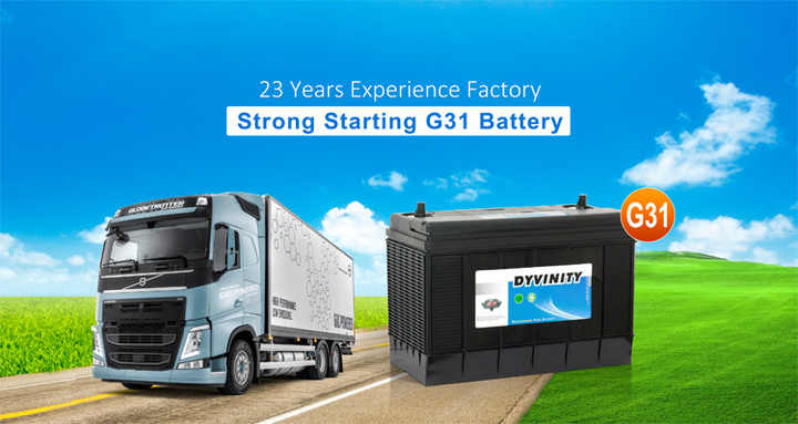 DYVINITY 12V 100AH Lead Acid Car Battery - Dual Purpose Power