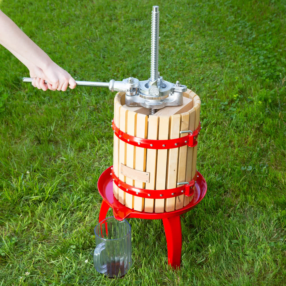 Fruit Press - Fruit Press Machine - Automatic Cold & Hot Pressing