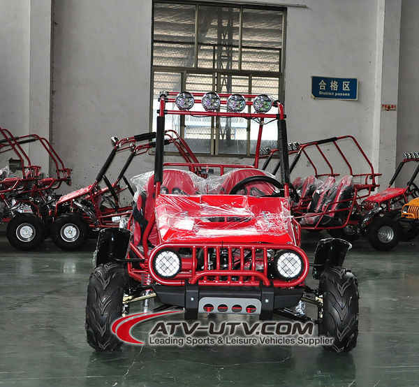 110cc 2 Seats Adult Buggy - Fun & Thrill Electric Go Kart