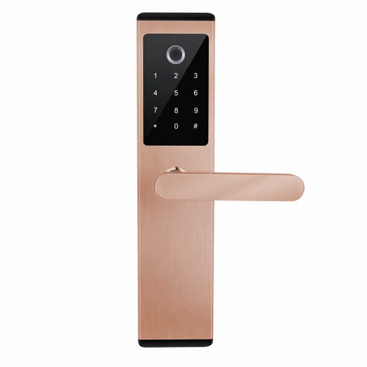 Stainless Steel Security Smart Biometric Fingerprint Door Lock
