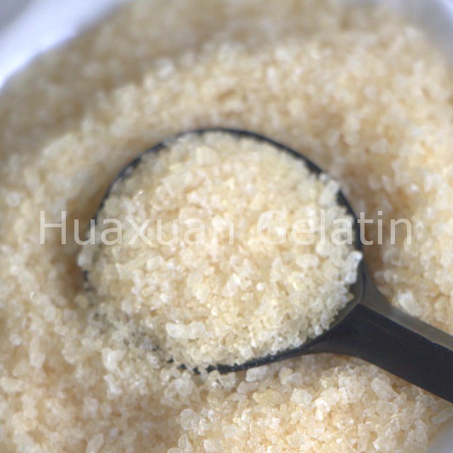 Halal Gelatin Price - Food Grade Bovine Powder 240 Bloom