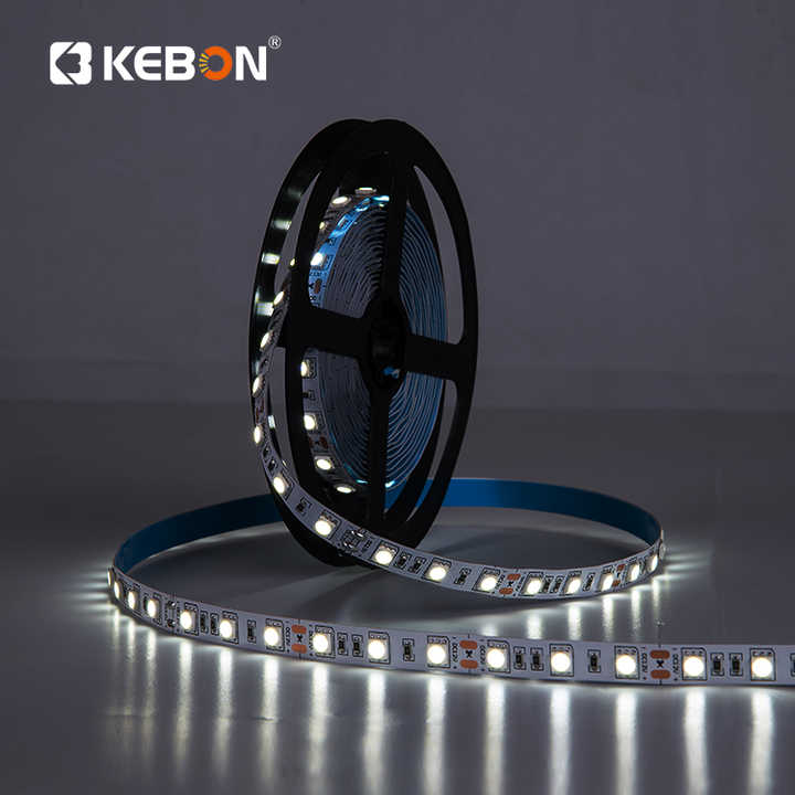 High Lumen Ultra Bright Two Color Smd2835 Led Strip 192leds 24V Led ...