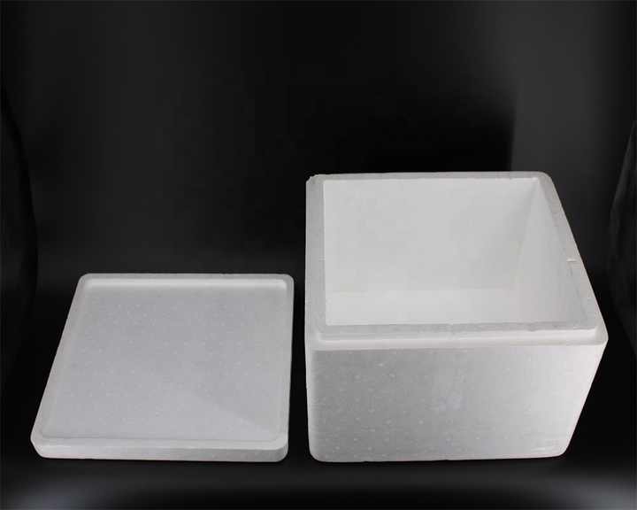 Styrofoam Packaging Box for Cold Food Dry Ice - CHX-2032