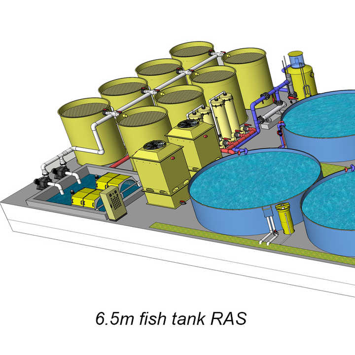 Recirculating Aquaculture System for Indoor Shrimp Farming